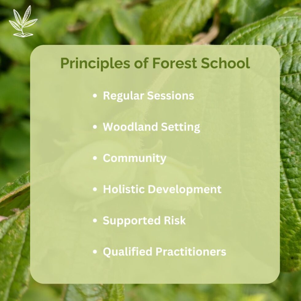 Forest School | Creative by Nature